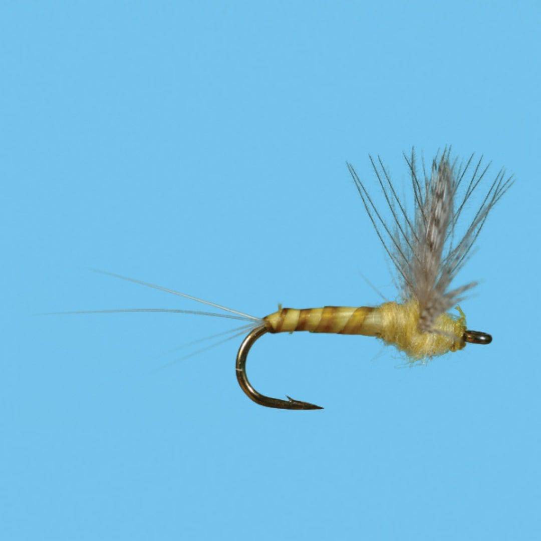 CDC Biot Comparadun - PMD - Solitude Fly - The Blue Quill Angler