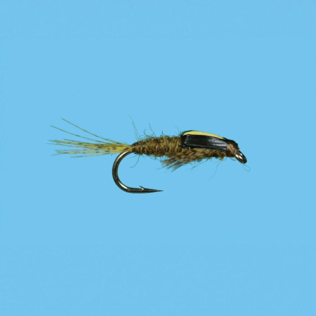 Split Case BWO Nymph | The Blue Quill Angler